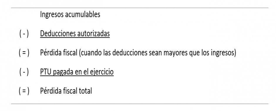 Consideraciones sobre pérdidas fiscales que pueden obtener las Personas ...