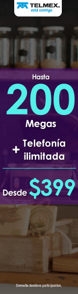 Inversión extranjera indirecta o de cartera Inversión extranjera indirecta o de cartera